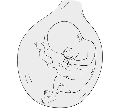 Coloring Books - Education Resource Fund